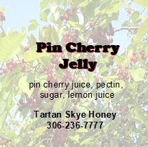 Pin Cherry Jelly, 250 ml – Tartan Skye Honey